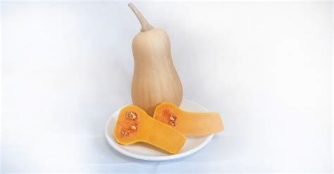 남해군 땅콩호박 샛별배송으로 전국 식탁 오른다