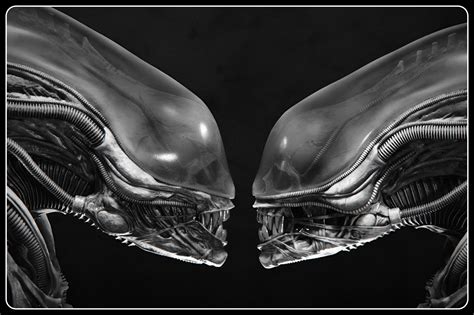 Xenomorph Face Off Facebook