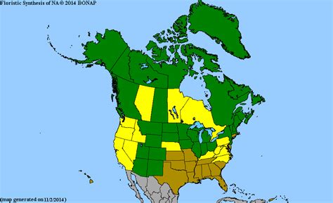 2013 Bonap North American Plant Atlas Taxonmaps