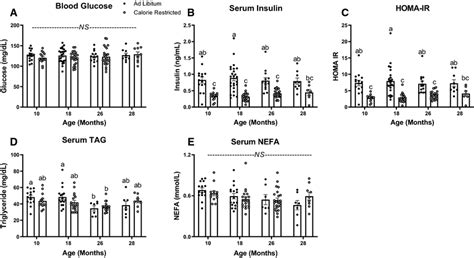 4 H Fasted Blood Glucose Serum Insulin Homeostatic Model Assessment