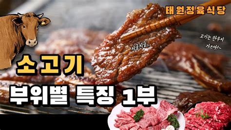 병점소고기맛집 태원한우정육식당 회식장소 소고기 부위별 특징 1부 Youtube