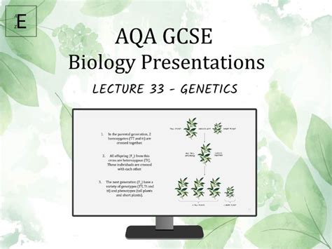 Aqa Gcse Biology Lecture 33 Genetics Teaching Resources