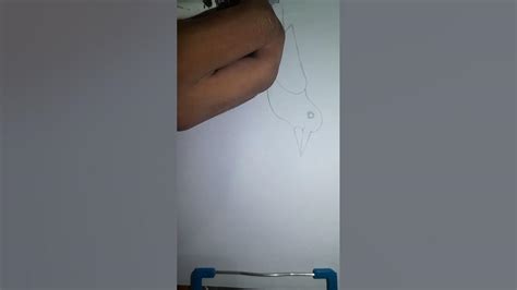 दो अंकों 23 के साथ कोयल की ड्रॉइंग कैसे बनाएं Youtube