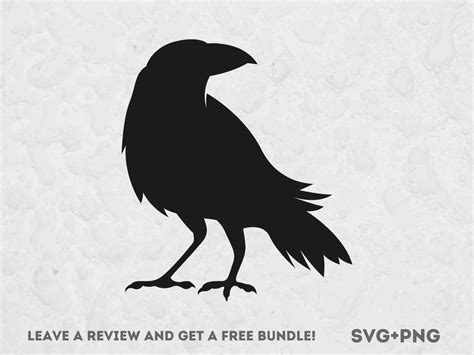 Raven Svg Svg Files For Cricut Bird Svg Bird Clipart Silhouette Svg