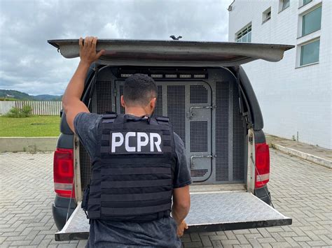 Pcpr Elucida Homicídio Ocorrido Em Pato Branco Polícia Civil Do Paraná