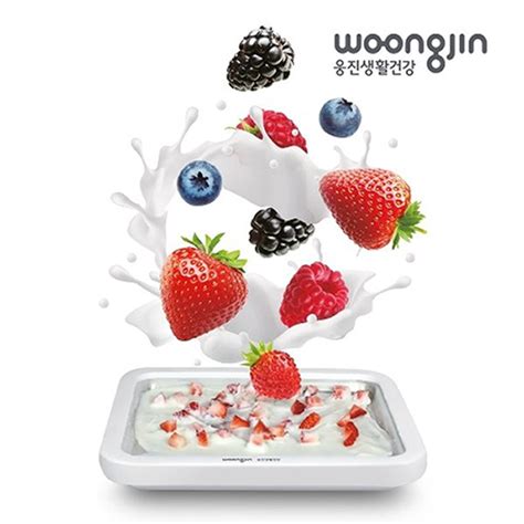 디용 웅진 아이스크림 메이커
