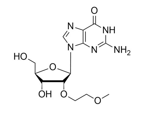Beyond The Basics Specialized Applications Of Nucleoside