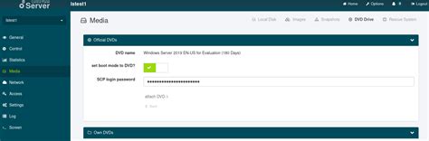 Netcup Installing Windows