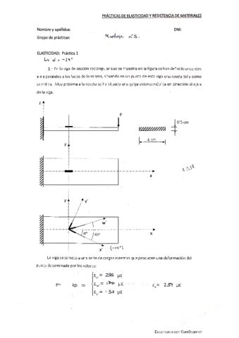 Memoria Practica 1 REM Pdf