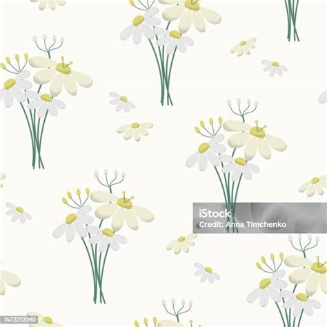 원활한 데이지 패턴 흰색 야생 카모마일이 있는 벡터 배경 의료 허브 티 타임 현장 식물 0명에 대한 스톡 벡터 아트 및 기타 이미지 Istock