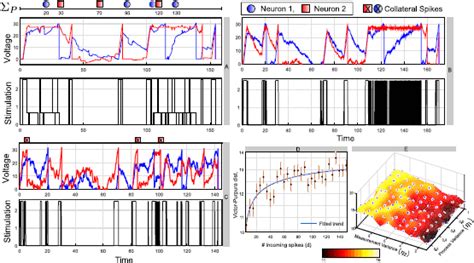 Induced Voltage Waveforms In The Two Neurons For Download Scientific Diagram