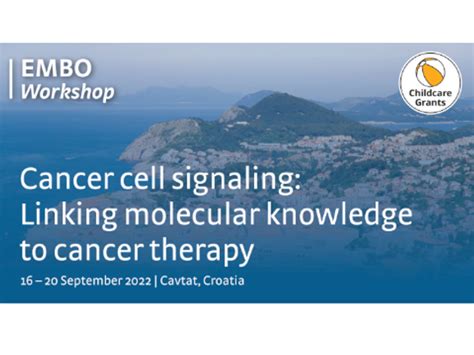 Registration Open Embo Workshop Cancer Cell Signaling