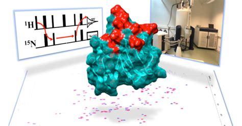 Biomolecular Nmr Spectroscopy Group University Of Jyväskylä