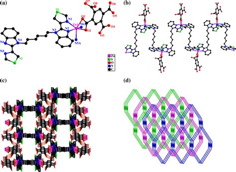 A Coordination Environment Around Zn Ions Of Cp 1 Symmetry Codes A
