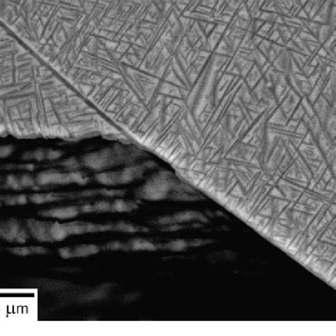 Pdf Formation Of Grain Boundary α In β Ti Alloys Its Role In Deformation And Fracture