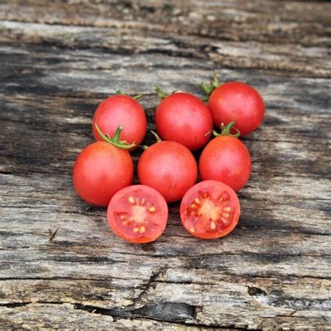 Anmore Treasure Illimán Garden