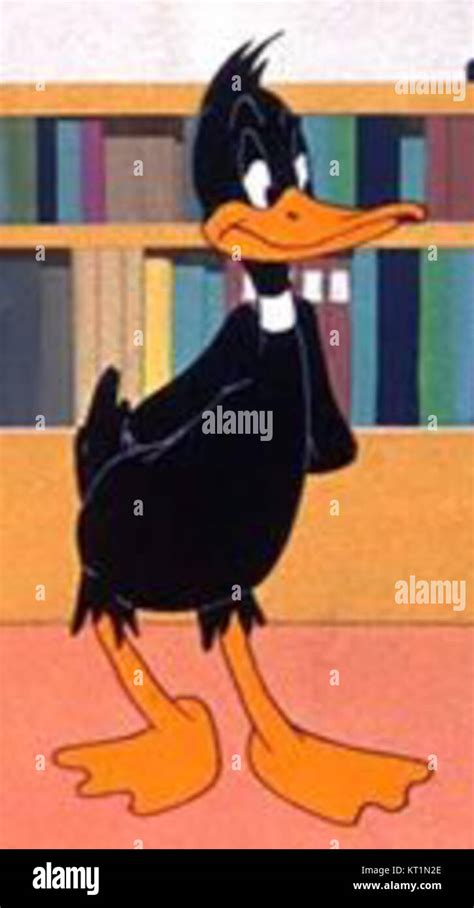 Daffy duck -Fotos und -Bildmaterial in hoher Auflösung – Alamy