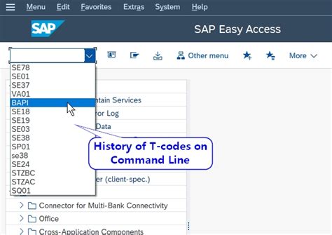 Check Where The History Of T Codes Is Stored