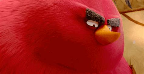 Angry Birds S