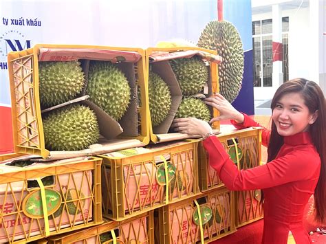 Cần Thơ Xuất Khẩu Chính Ngạch 20 Tấn Sầu Riêng Sang Trung Quốc
