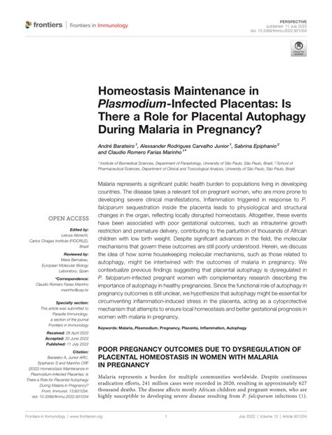Pdf Homeostasis Maintenance In Plasmodium Infected Placentas Is
