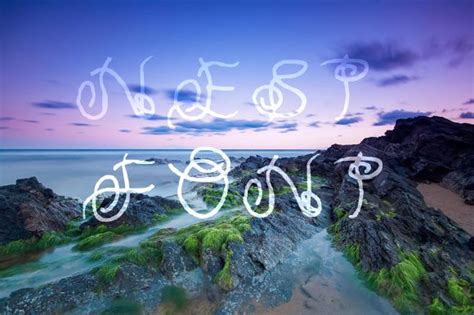 Nest Font Font Canyon
