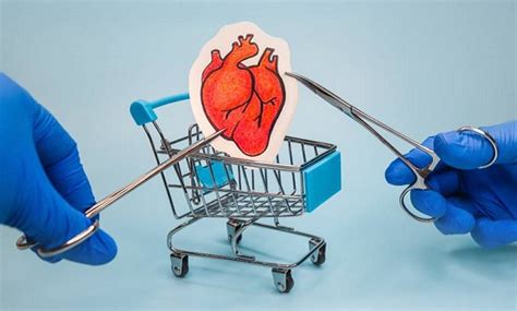 Illegal Organ Trade Is Sophisticated