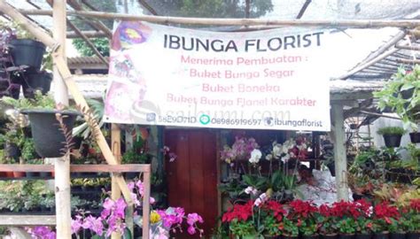 Lima Tempat Nursery Atau Taman Bunga Di Bandar Lampung