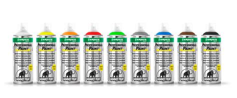 Vernice Con Agenti Anticorrosivi PROFESSIONAL PAINT