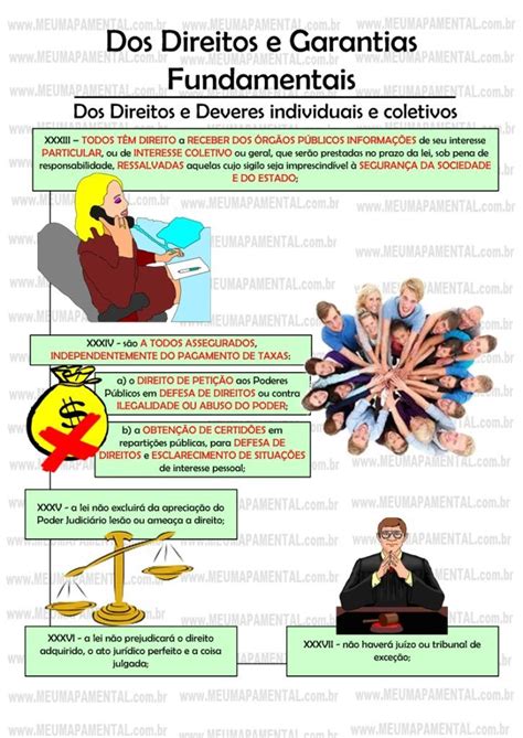 Artigo 5º da Constituição Federal em mapas mentais e em PDF