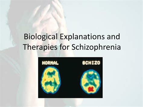 Ppt Biological Explanations And Therapies For Schizophrenia