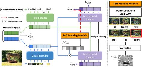 Multi Modal Representation Learning With Text Driven Soft Masks