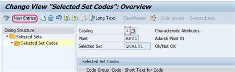 Define Selected Sets In Sap Qm Sap Hana Qm Sap Tutorial
