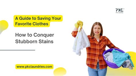 How To Conquer Stubborn Stains A Guide To Saving Your Favorite Clothes