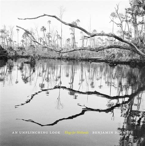 An Unflinching Look Elegy For Wetlands Nhbs Good Reads