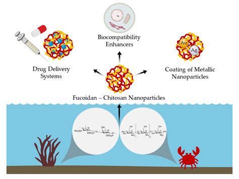 Marine Drugs Free Full Text Marine Polysaccharides In