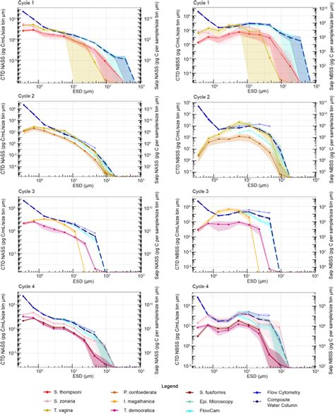 Average Normalized Abundance Left And Normalized Biomass Right Size