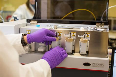 N And C Terminal Sequencing Amino Acid Sequence Analysis