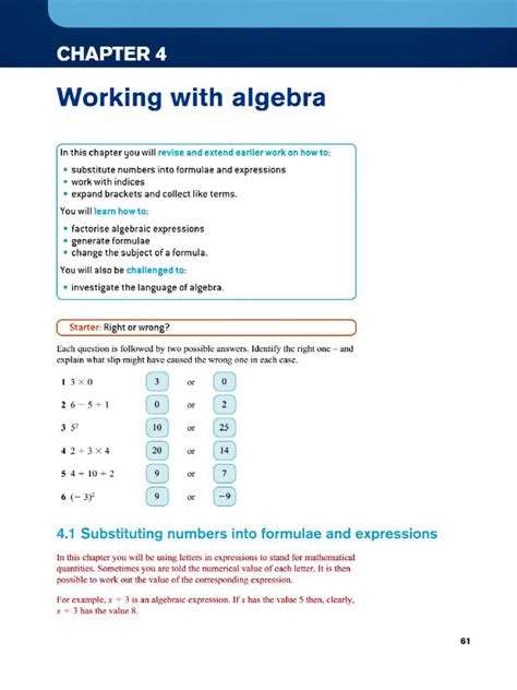Chapter 4 Working With Algebra Pdf