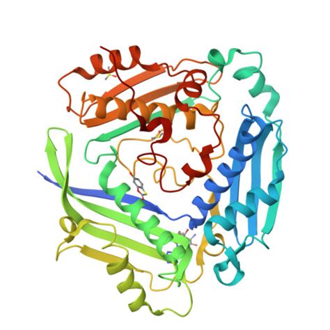 Gene P31153 Protein Mat2a Overview Cansar Ai