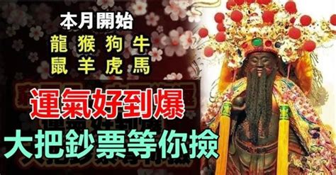 👍本月開始財運好到爆的生肖