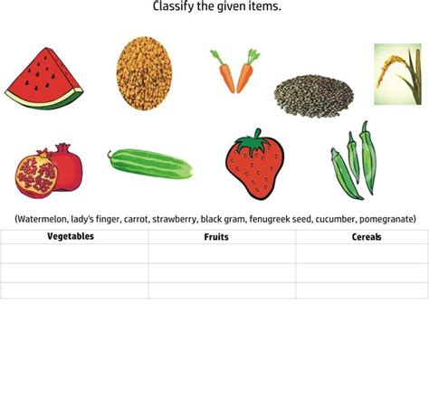 Classify The Given Items Artofit