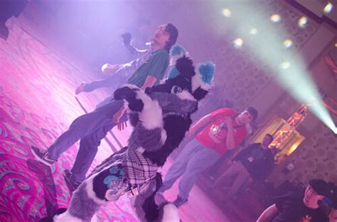 Artwork Gallery For Layla Wolf Fur Affinity Dot Net