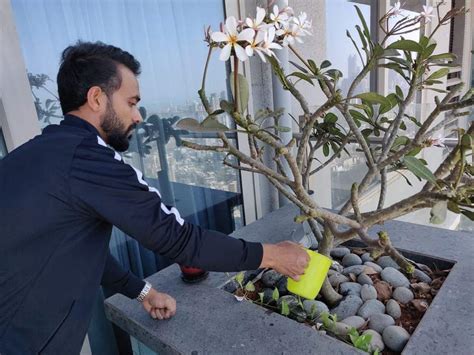 शेतकऱ्यांना जमेल तशी जमेल तितकी मदत करा अजिंक्य रहाणेचं आवाहन Help