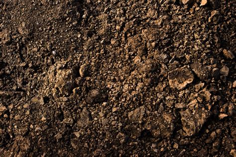 Dirt Definition Information And Related Tags