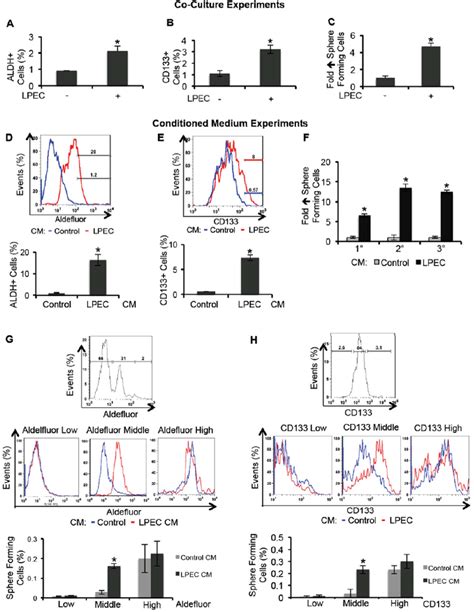Figure 1 From Endothelial Cells Promote The Colorectal Cancer Stem Cell