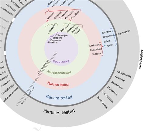 Families Genera Species Sub Species Cultivars And Their
