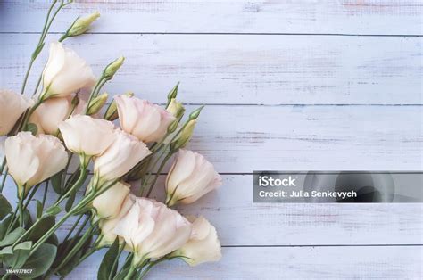 밝은 나무 배경에 분홍색 유스토마 꽃입니다 리시안투스 플랫 레이 상단 보기 고풍스런에 대한 스톡 사진 및 기타 이미지 고풍스런 구도 꽃 나무 Istock