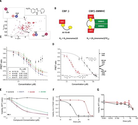 A Small Molecule Inhibitor Of The Aberrant Transcription Factor Cbfβ Smmhc Delays Leukemia In