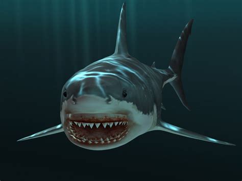 Artworks Les Dents De La Mer